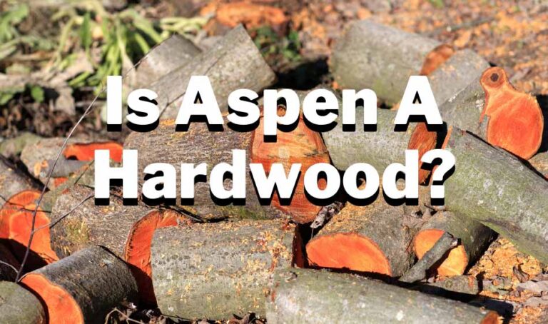 Is Aspen A Hardwood? (How hard is Aspen?) - WoodWorkly