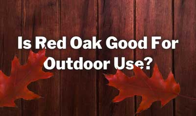 Is Red Oak Good For Outdoor Use? (All You Need To Know!)