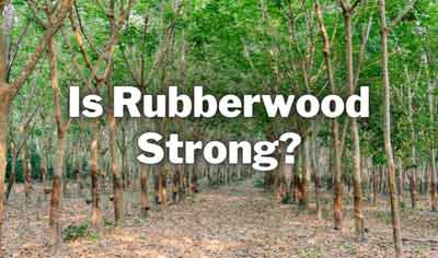 Is Rubberwood Strong? All You Need To Know! - WoodWorkly