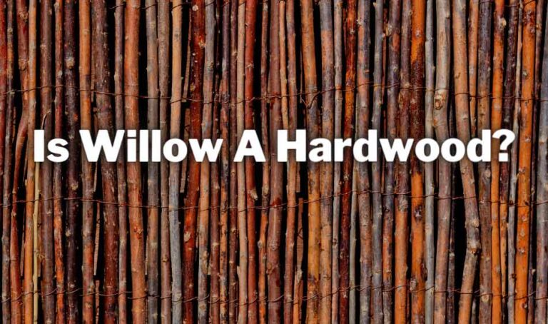 Is Willow A Hardwood? (How hard is Willow!) - WoodWorkly