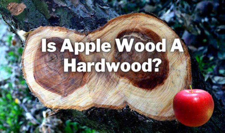 Is Apple Wood A Hardwood? (How hard is Applewood?)