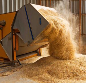 How to Dry Out Sawdust (4 Quick and EASY Methods!)